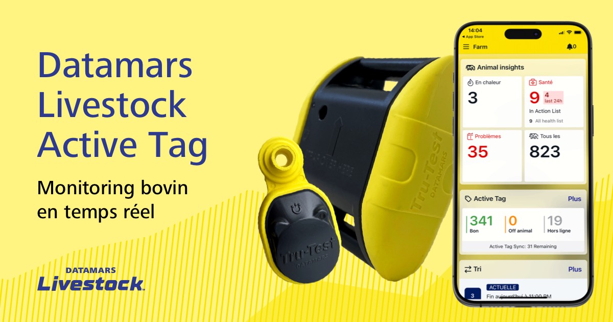 Datamars Livestock | Active Tag