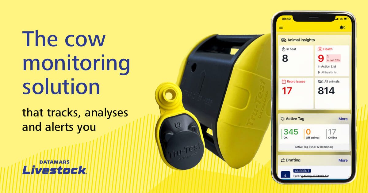 Datamars Livestock | Active Tag
